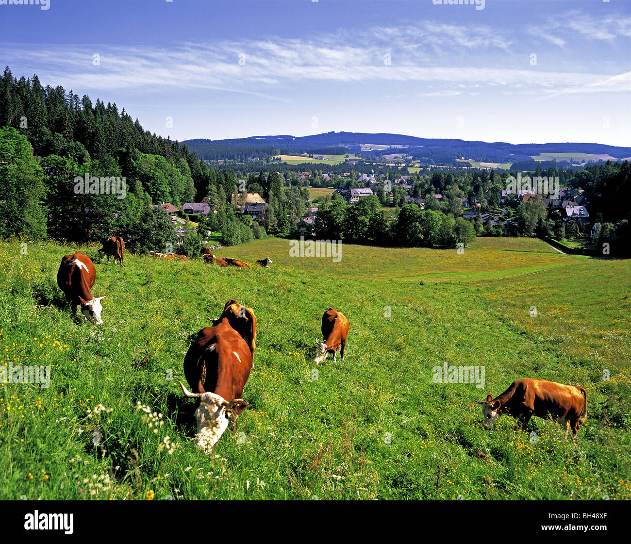 Freiburg germany landscape village hi-res stock photography and images ...