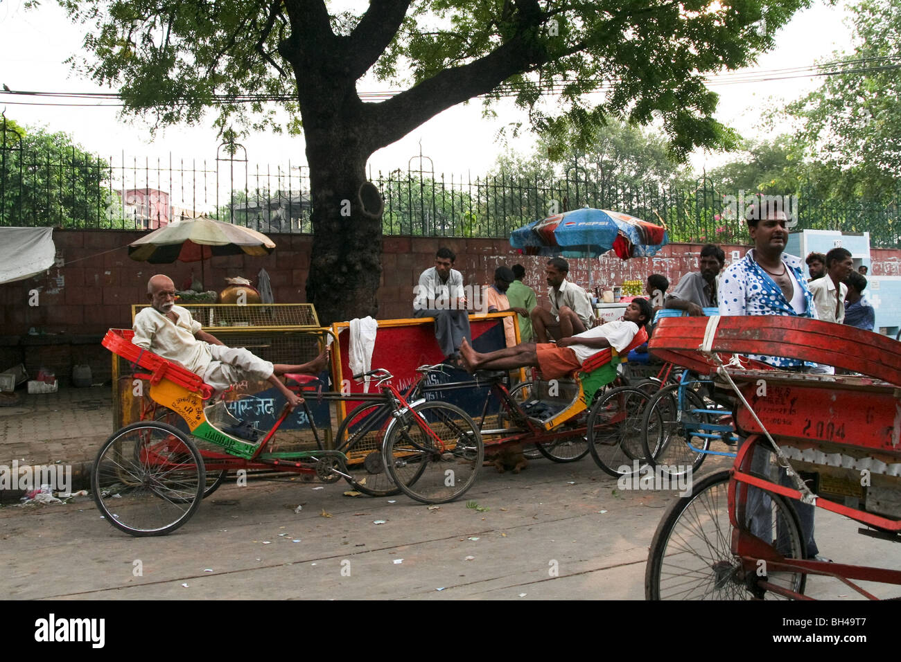 Delhi India Old Delhi Rickshaw Street Transport Stock Photo - Alamy