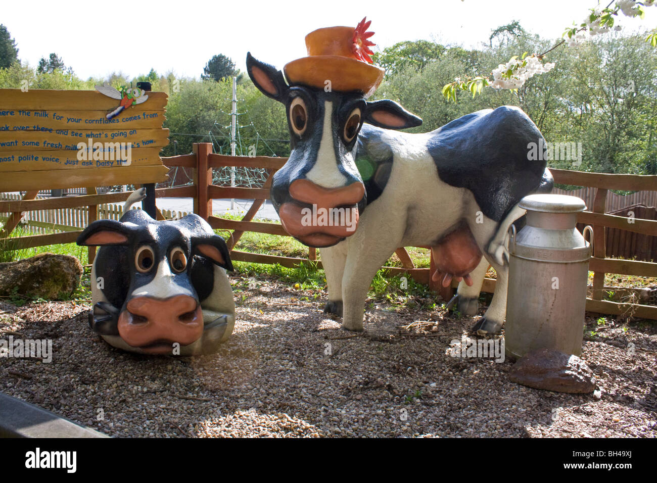 Cow models hi-res stock photography and images - Alamy