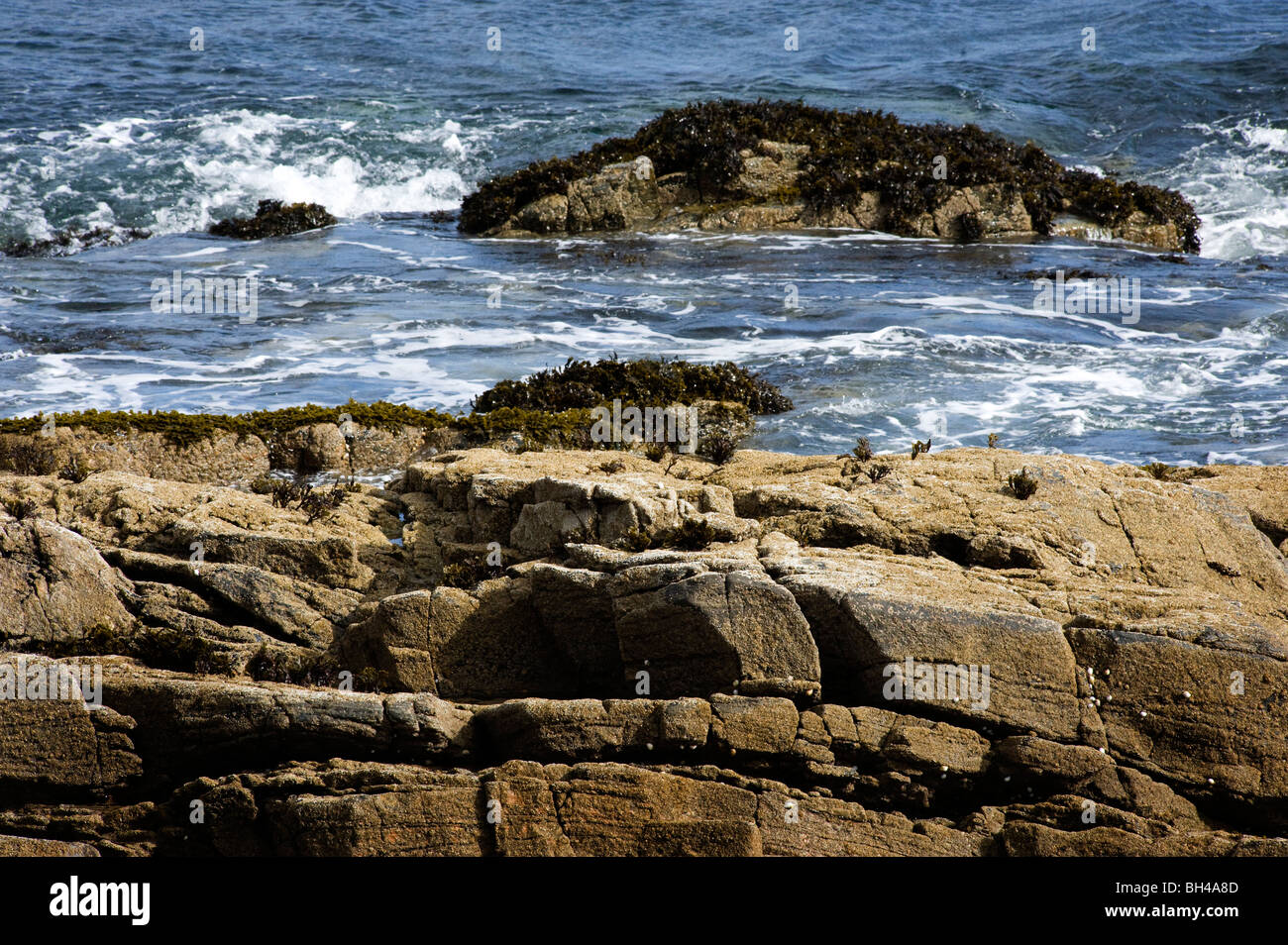 Lewisian Gneiss Rock High Resolution Stock Photography and Images - Alamy