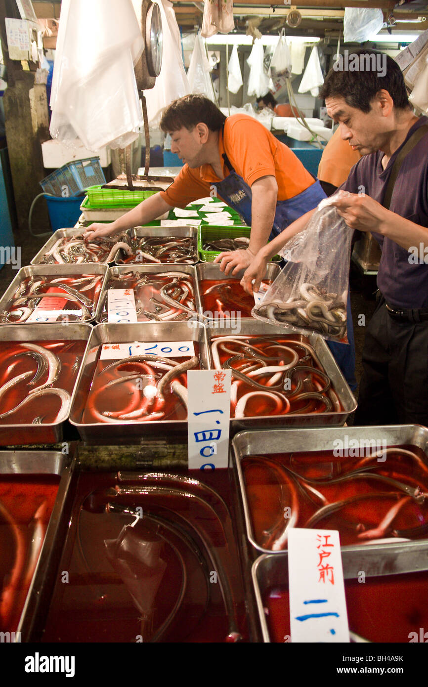 Honshu Fishmonger Japan Tokyo Tsukiji Fish Market Stock Photo - Alamy