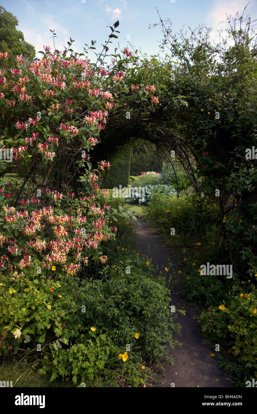 Honeysuckle garden arch hi-res stock photography and images - Alamy