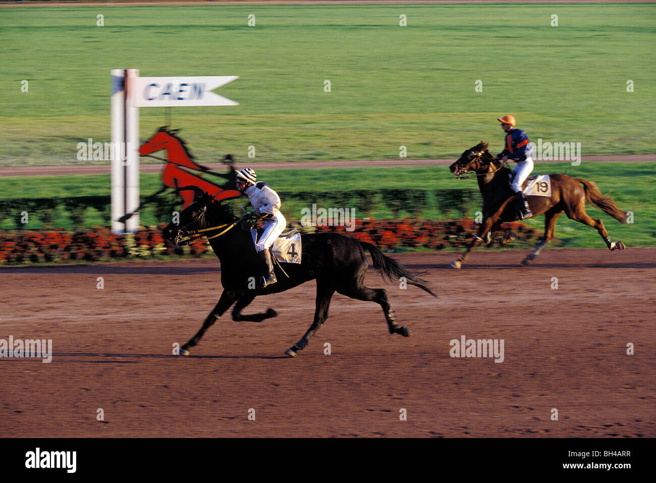 Horses trotting race at the caen racetrack hi-res stock photography and ...