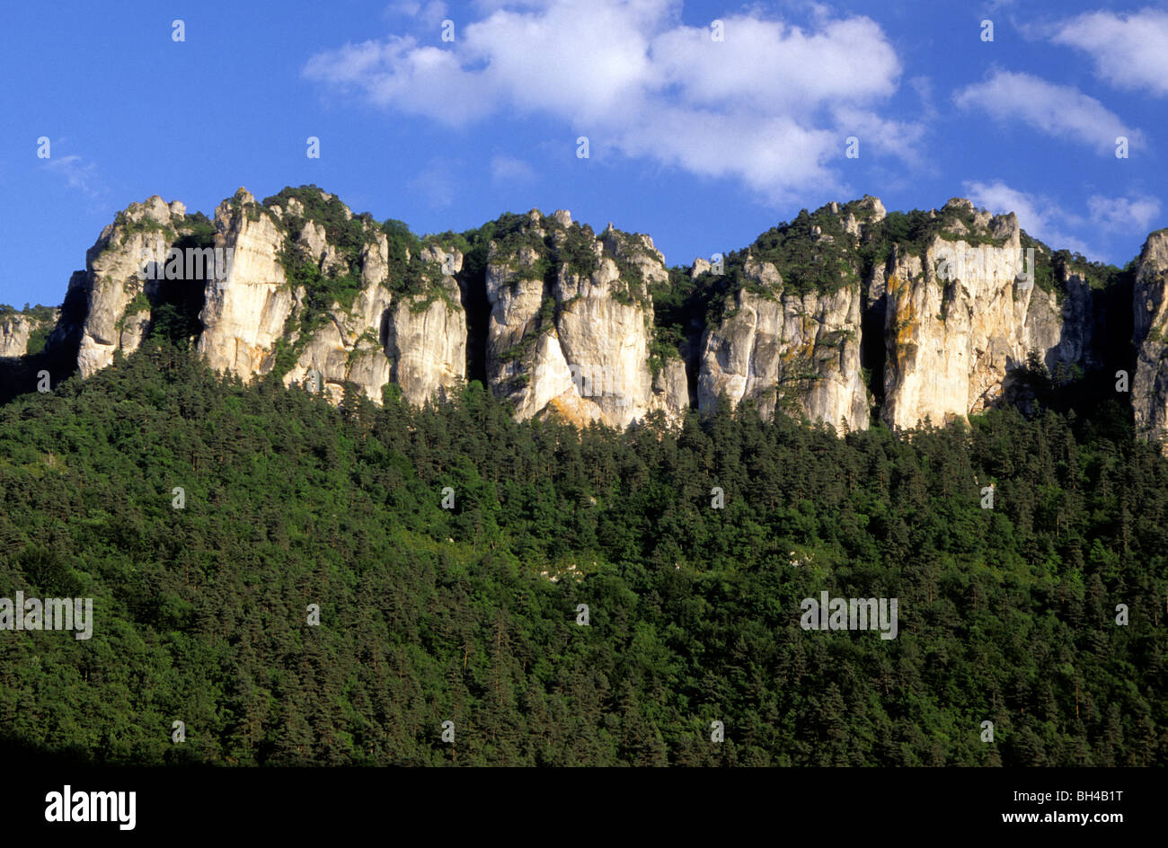 Limestone cliff face in the Gorges de la Jonte, Cevennes, France ...