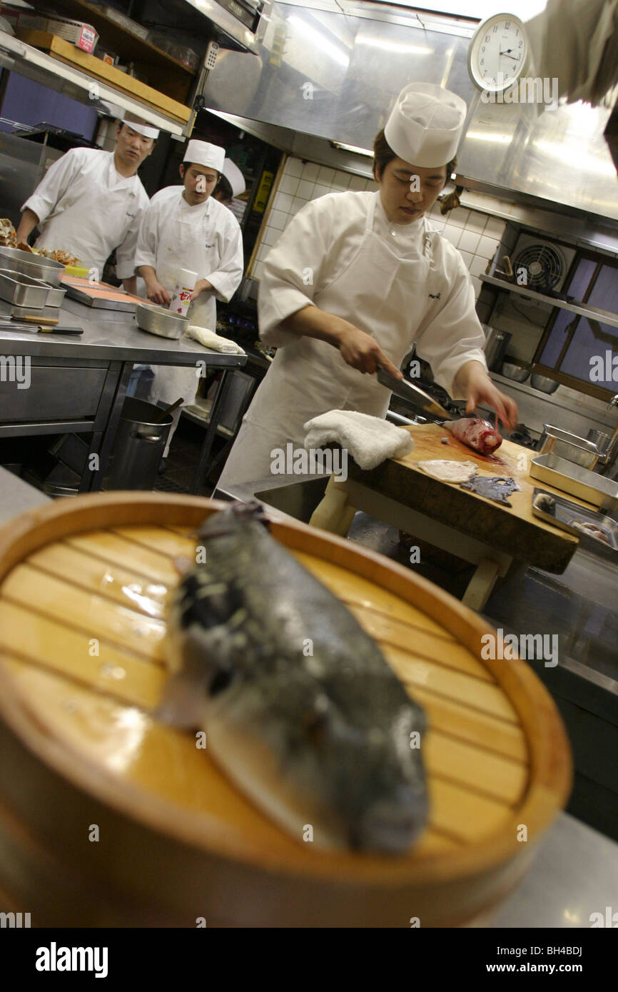 The preparation of 'fugu' (blowfish) fish, in the 'Wa No Fu Club', a ...