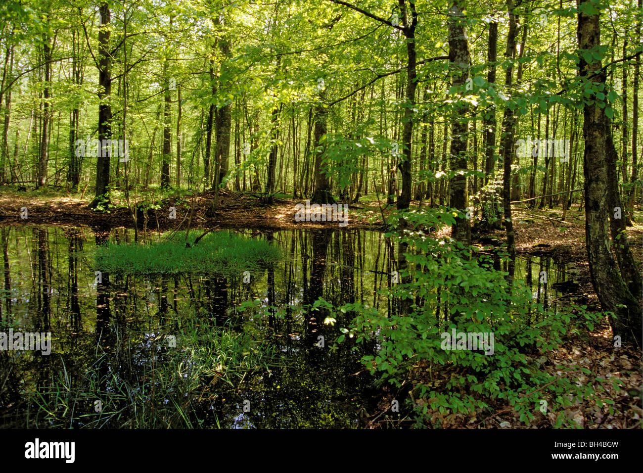 Lyons lake hi-res stock photography and images - Alamy