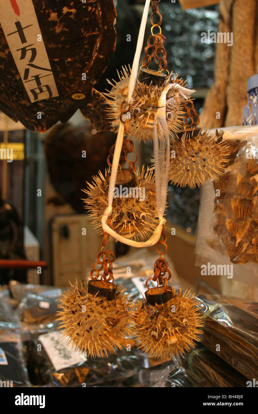 Poisonous skins hi-res stock photography and images - Alamy