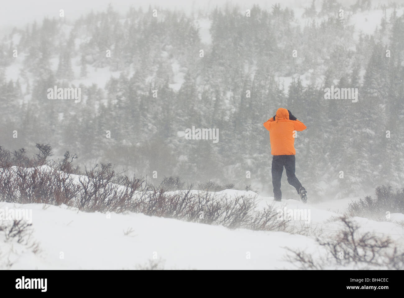 A young man hikes on a trail during a whiteout storm in Anchorage ...