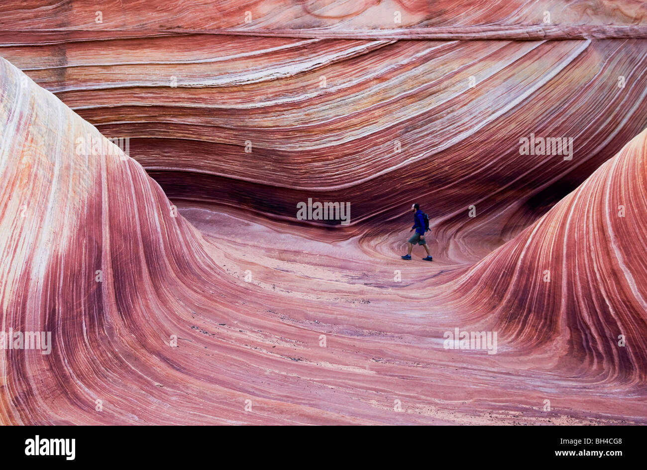 A young man hikes along a trail through The Wave in Vermillion Cliffs ...