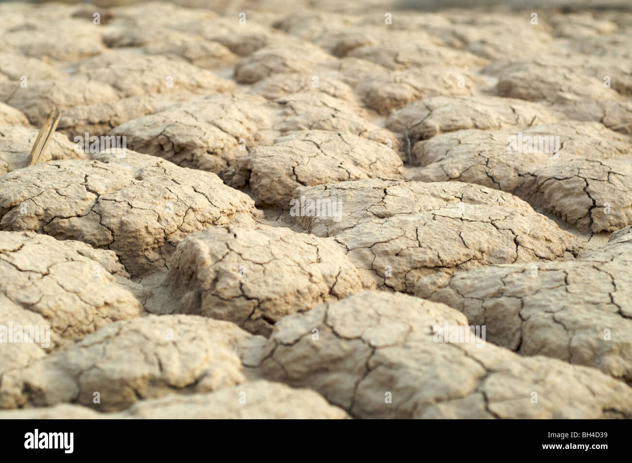 Extreme dry earth Stock Photo - Alamy