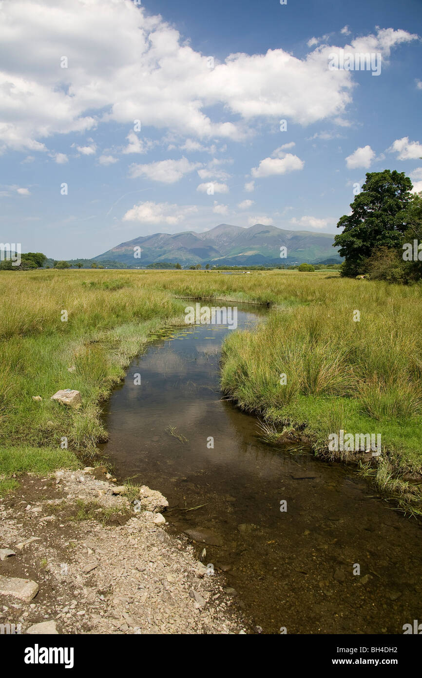 Walking path over the wetland in Derwent Water Stock Photo - Alamy