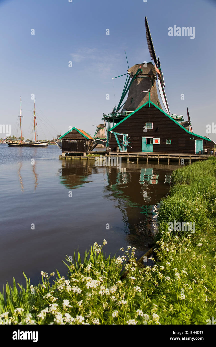 Traditional Dutch windmill along river Stock Photo - Alamy