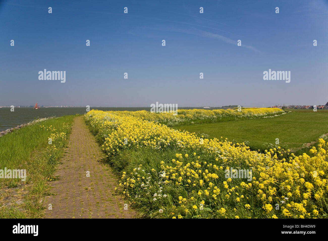 Path trail scenic flowers hi-res stock photography and images - Alamy