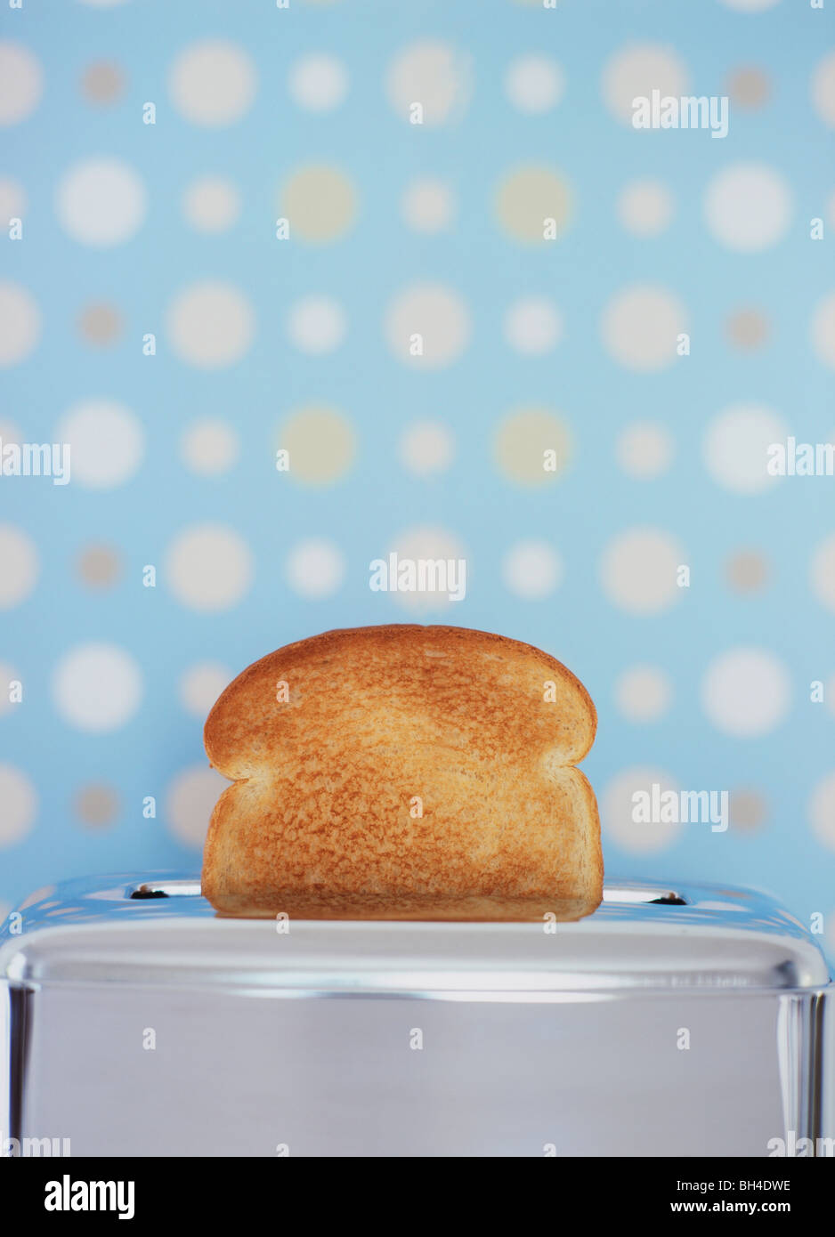 Toast in a toaster with a spotted wallpaper background Stock Photo - Alamy