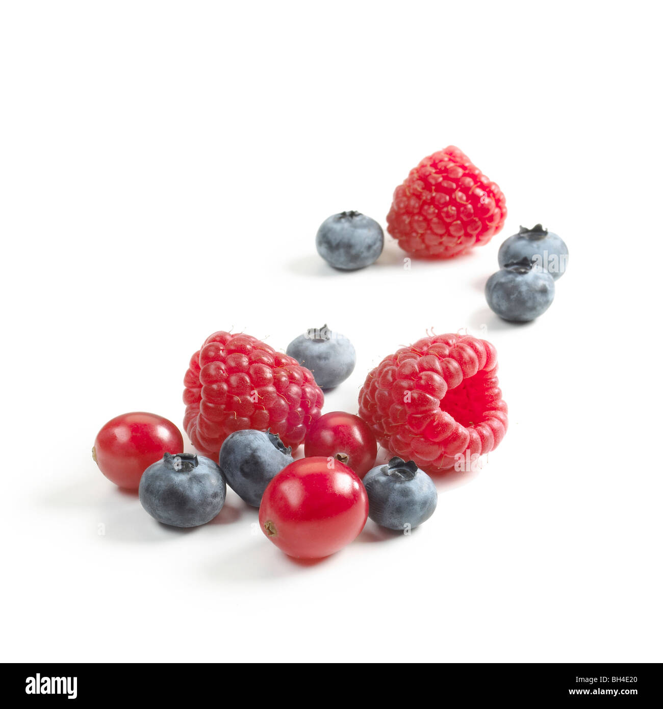 Cranberries, raspberries and blueberries on a white background Stock ...