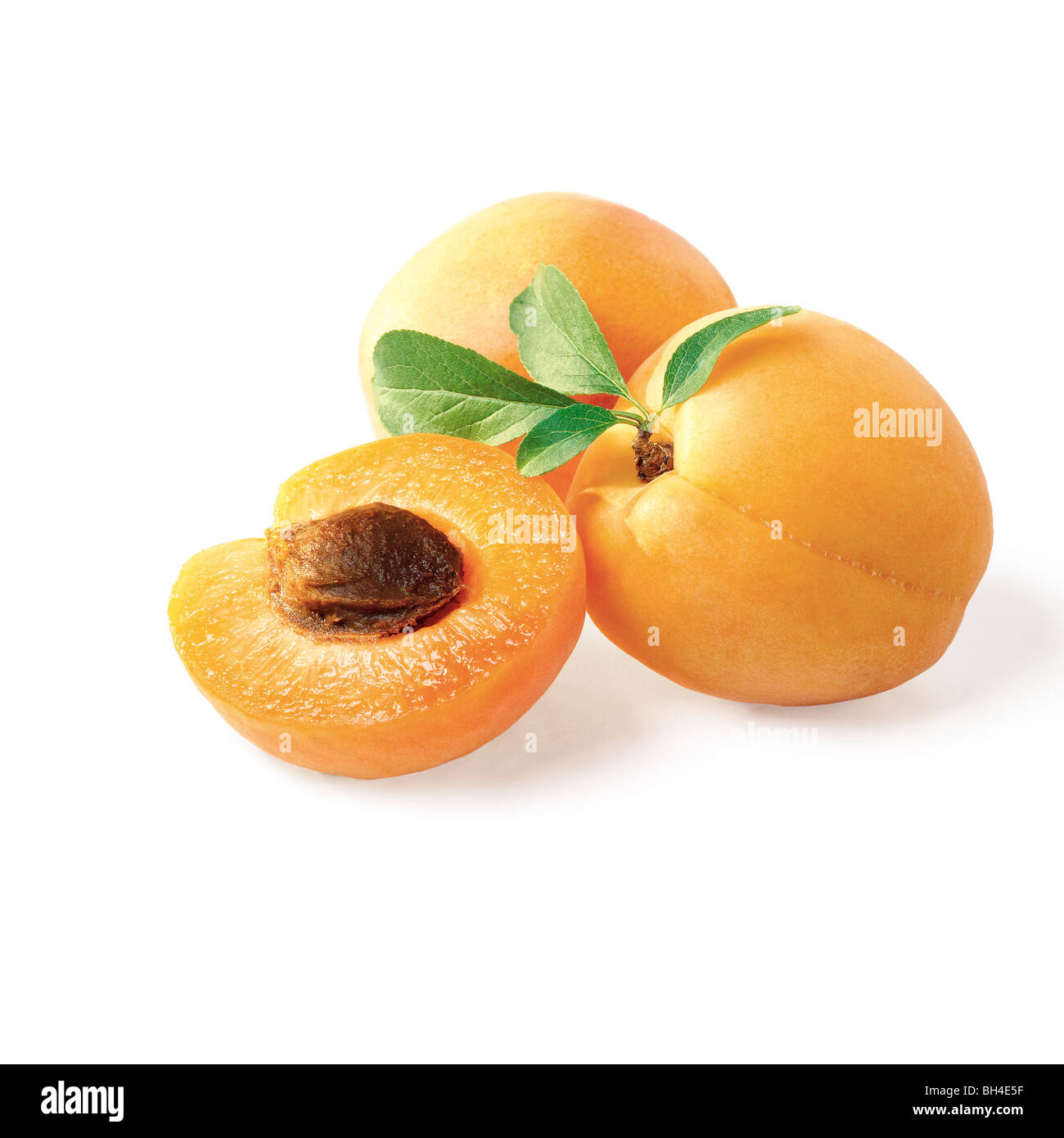 Apricots on a white background Stock Photo - Alamy