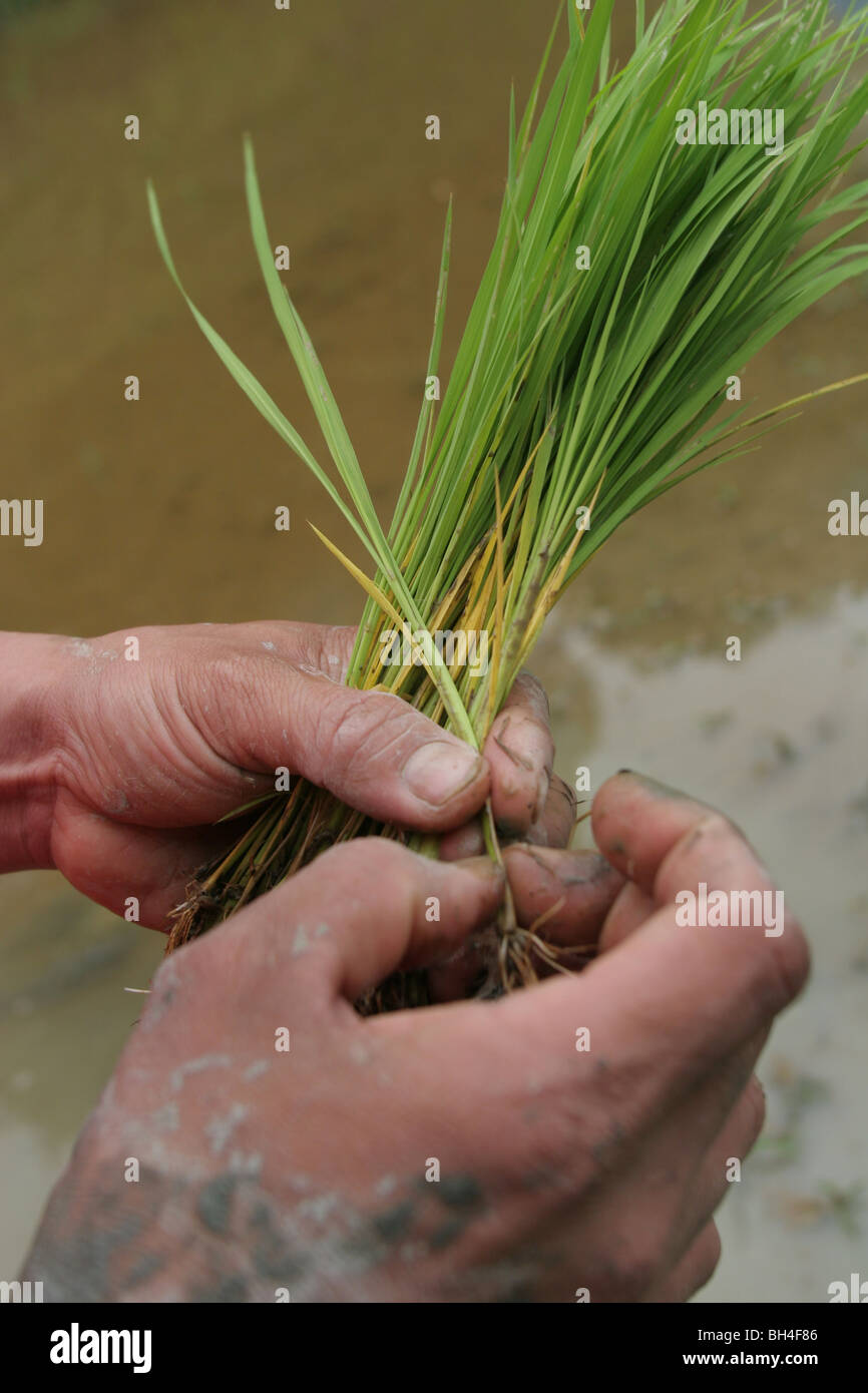 Old farming methods hi-res stock photography and images - Alamy