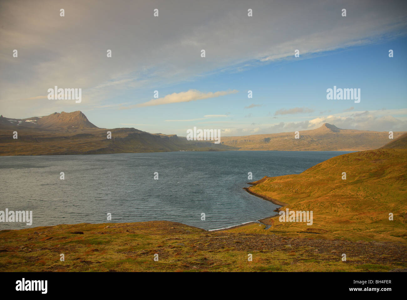 View of the Strandir Coast, Western Fjords, Iceland Stock Photo - Alamy