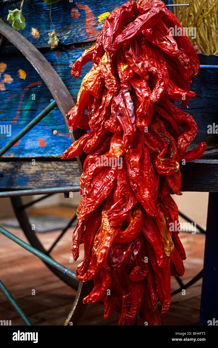 Chile ristras Santa Fe New Mexico USA Stock Photo - Alamy