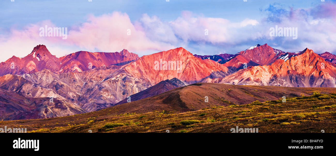 Alaska Range and fall colours at sunset, Denali National Park, Alaska ...