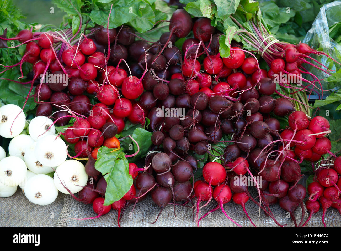 Farmers market onions hi-res stock photography and images - Alamy