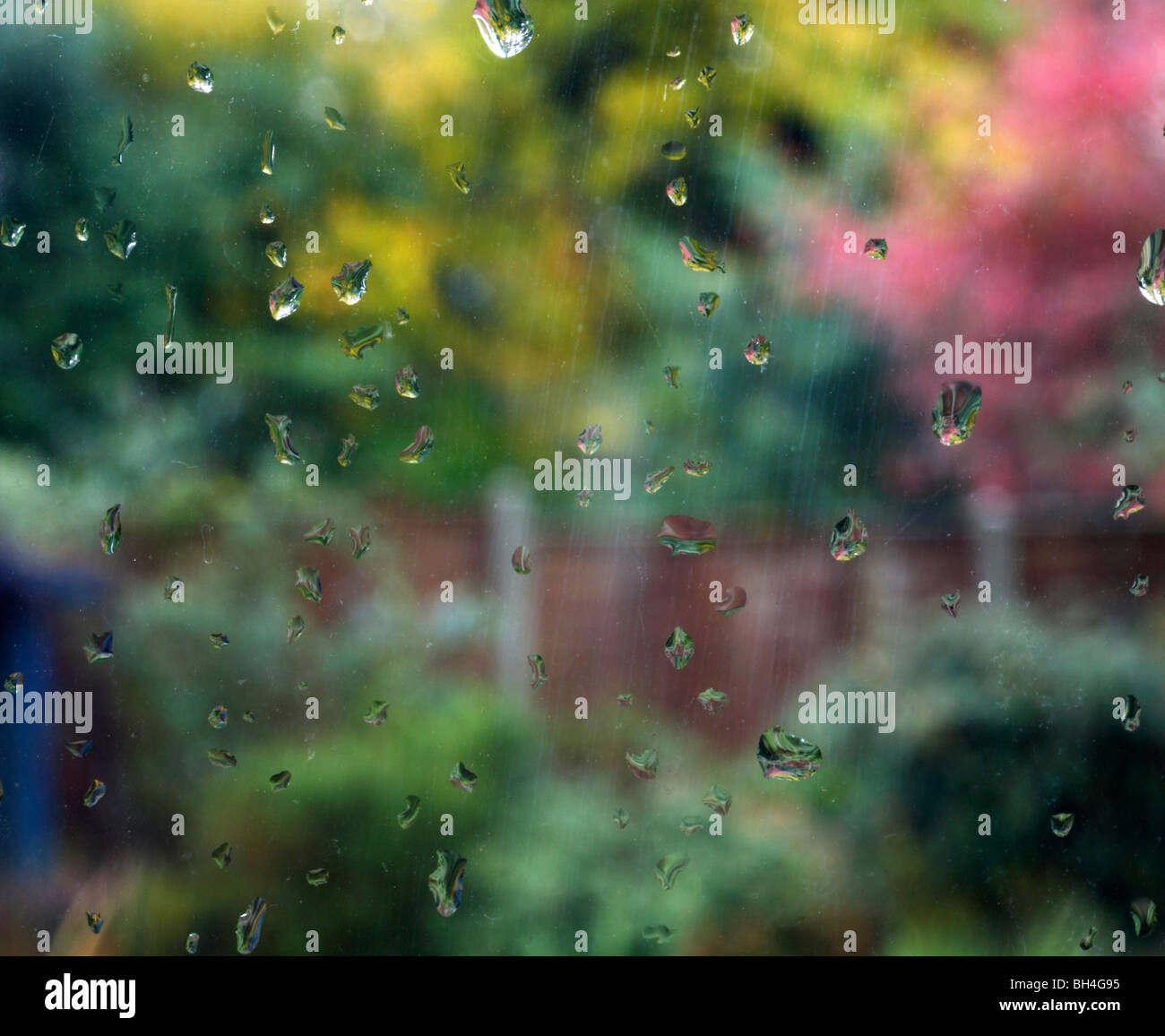 Looking outside at the garden on a rainy day in Britain Stock Photo - Alamy
