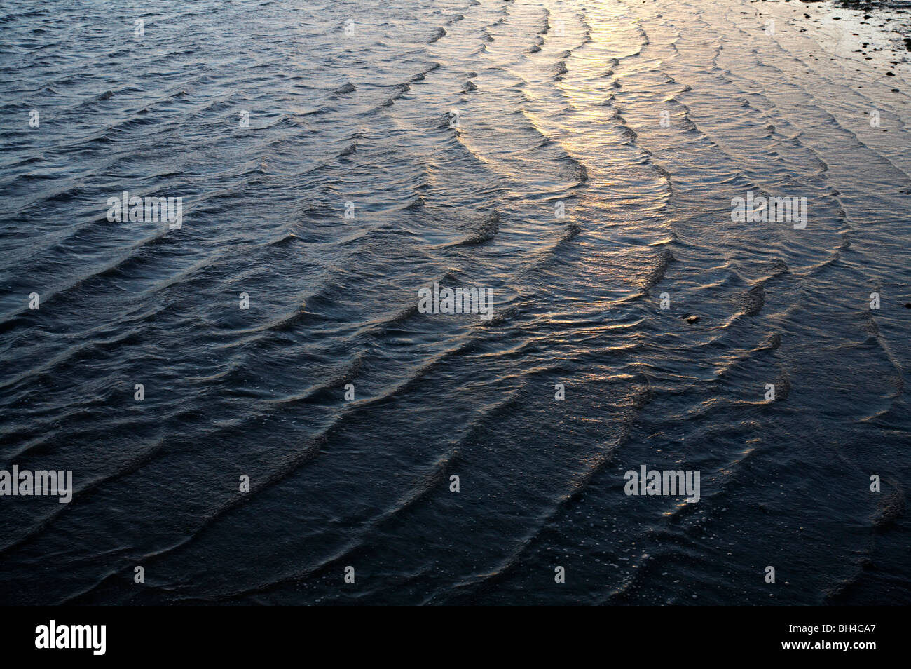 Light and water patterns hi-res stock photography and images - Alamy