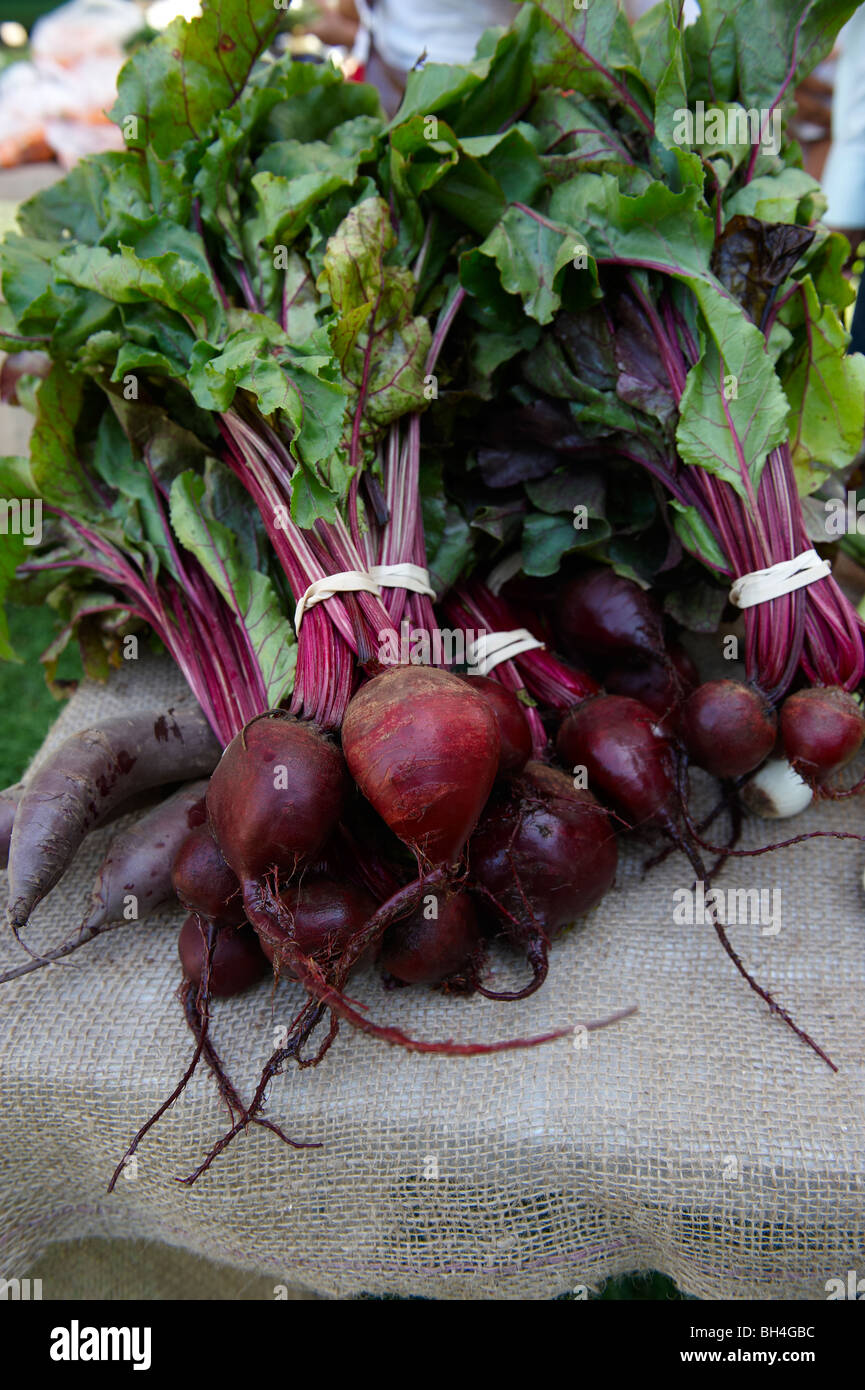 Beet farmers hi-res stock photography and images - Alamy