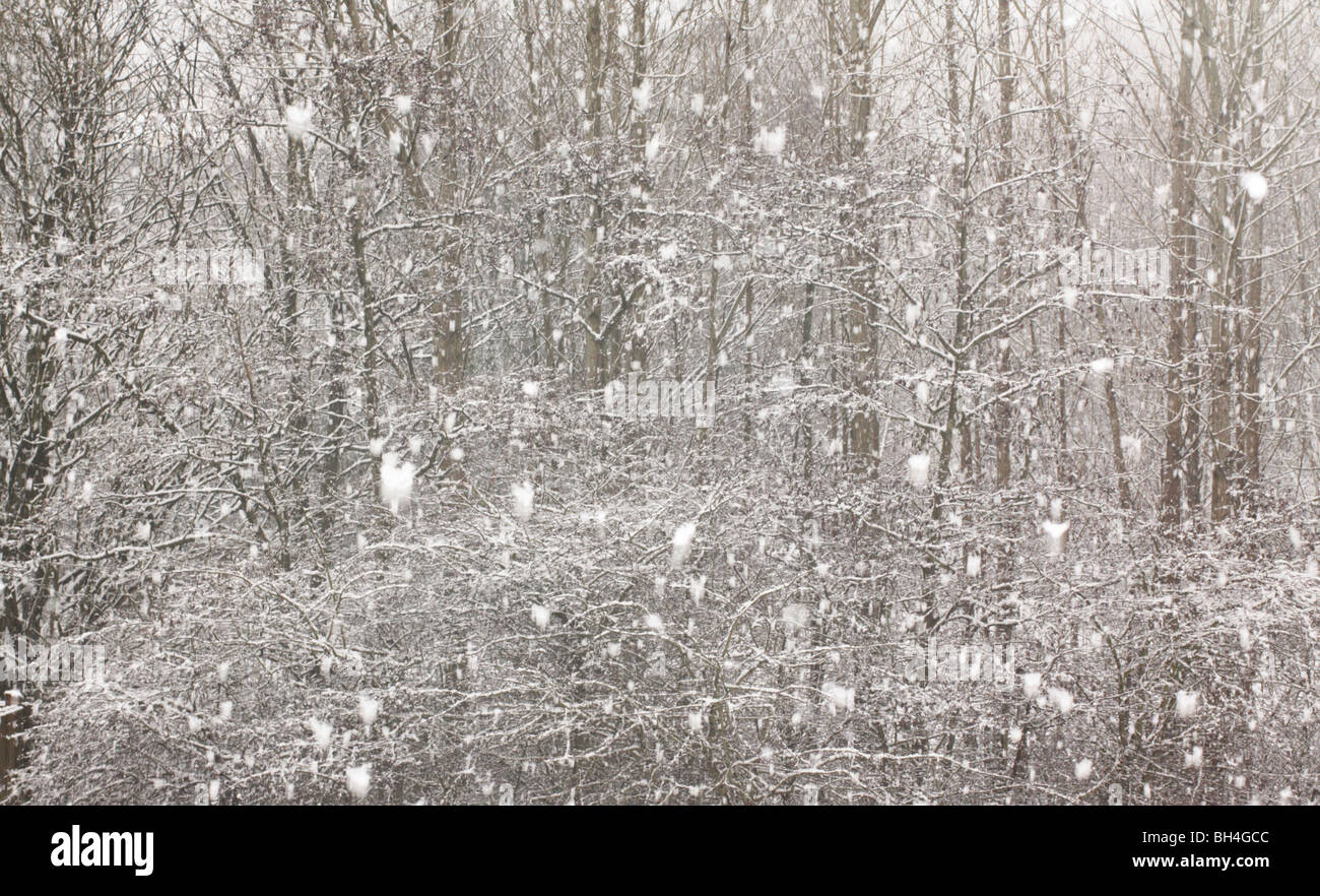 Snowing hi-res stock photography and images - Alamy