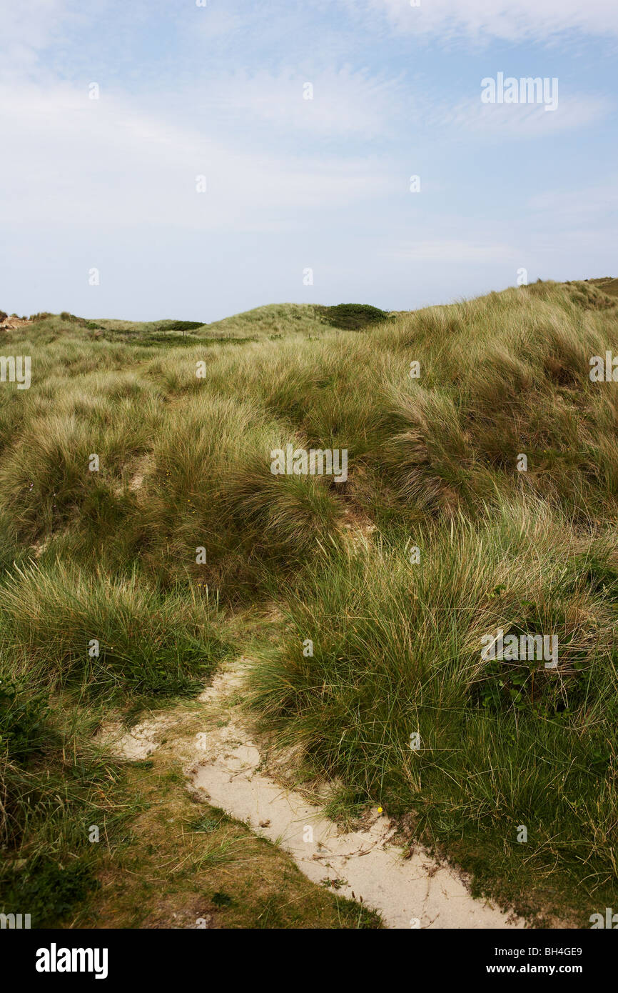 Path and Sand dunes, Hayle, Cornwall, England Stock Photo - Alamy