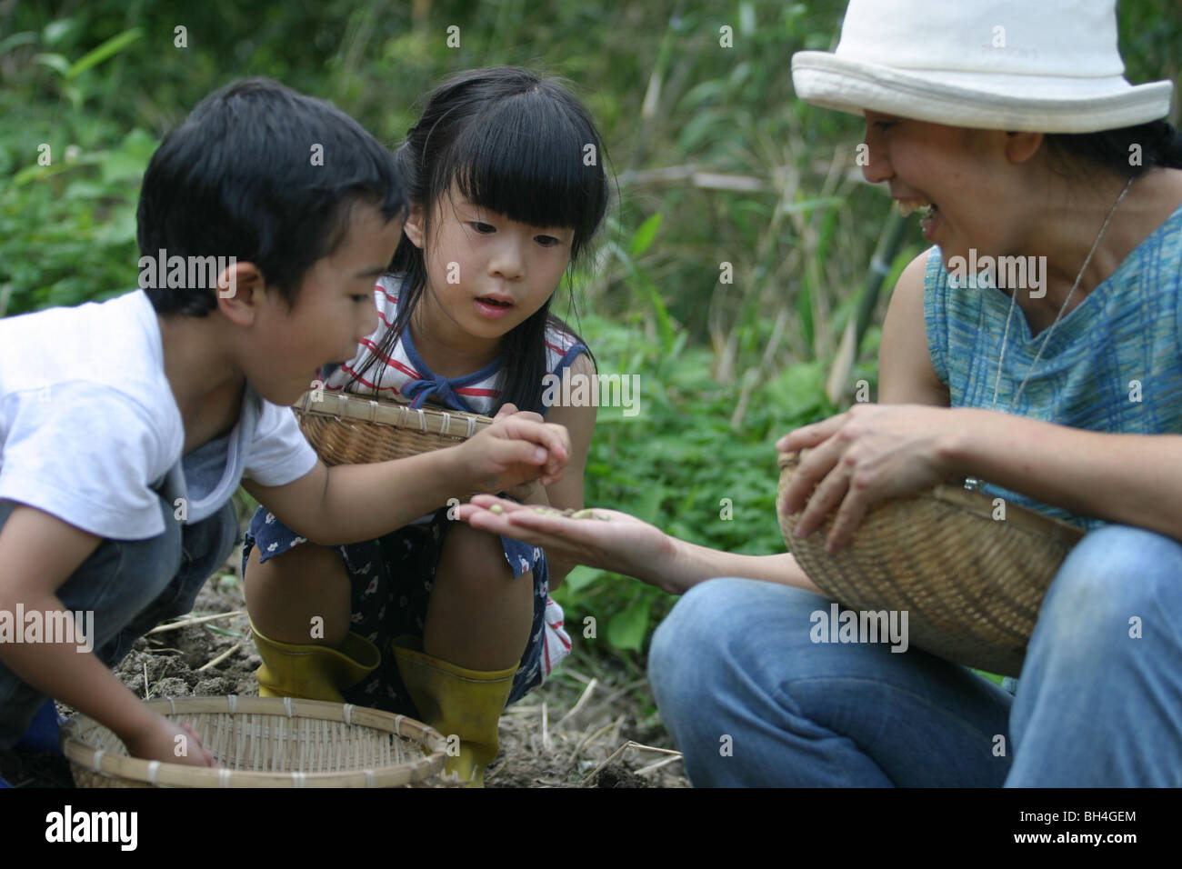 Sowing soya seeds in organic farm, Chiba, Japan Stock Photo - Alamy