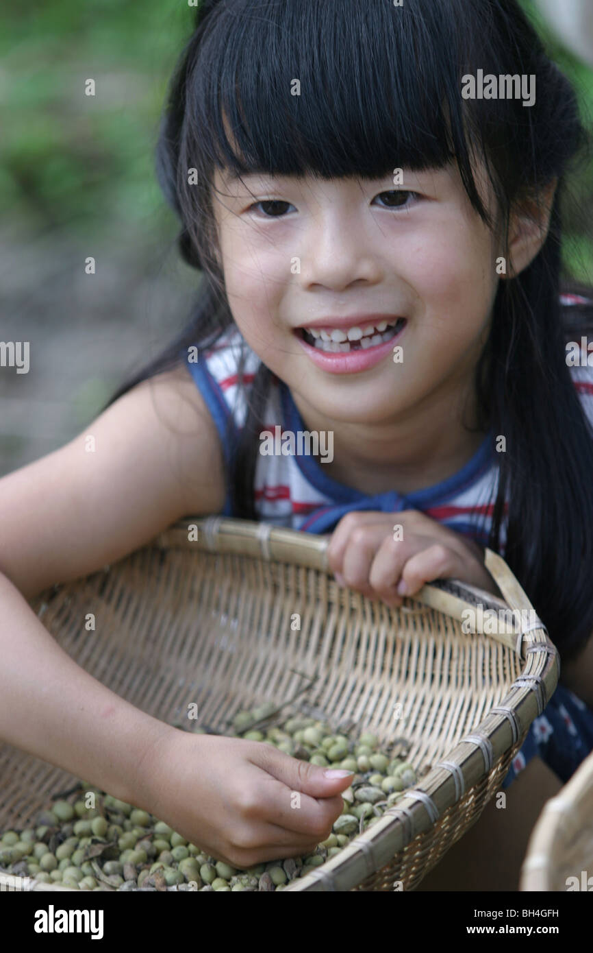 Sowing Soya Seeds In Organic Farm Chiba Japan Stock Photo Alamy sowing-soya-seeds-in-organic-farm-chiba-japan-stock-photo-alamy