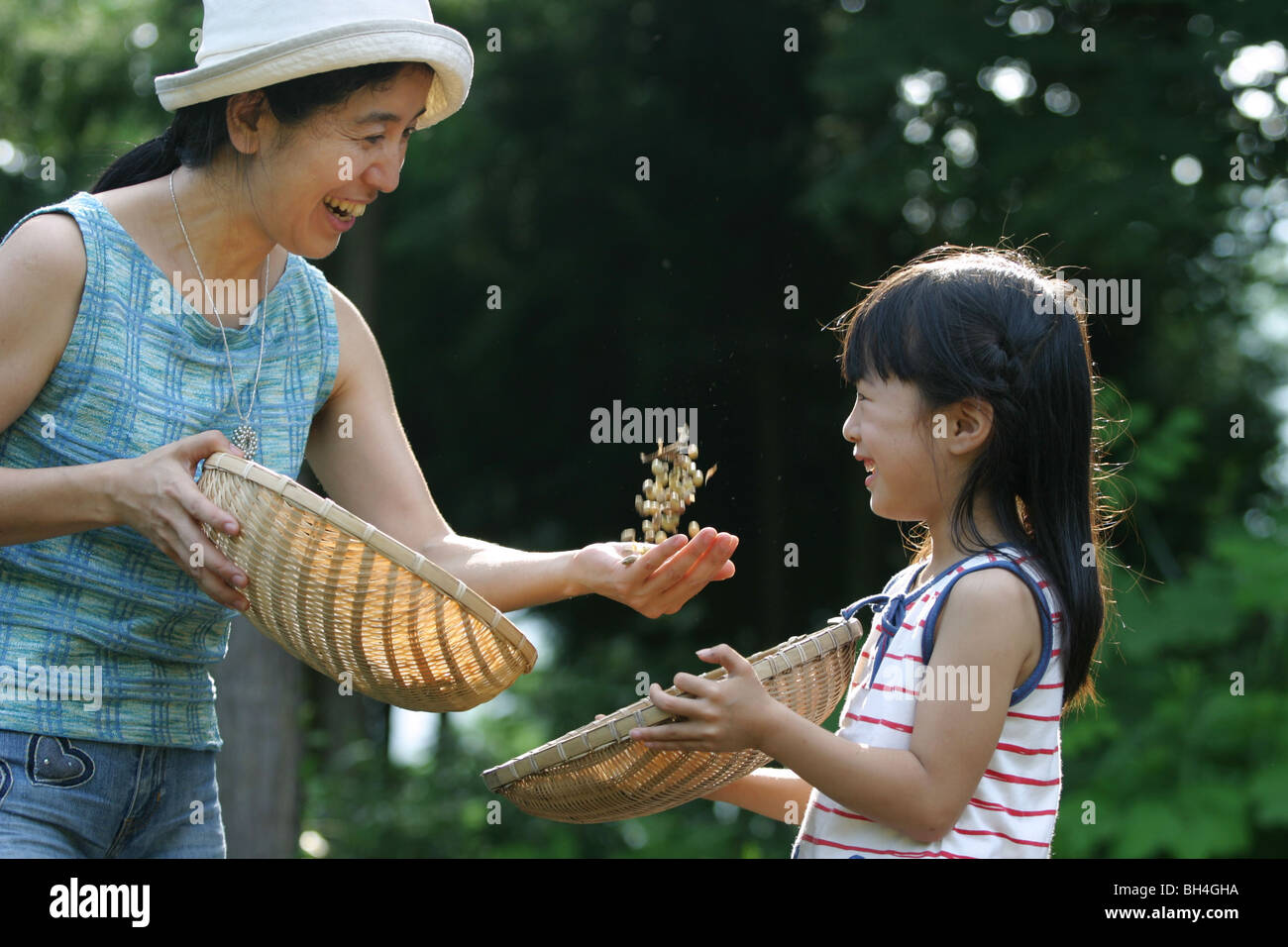 Sowing soya seeds in organic farm, Chiba, Japan Stock Photo - Alamy