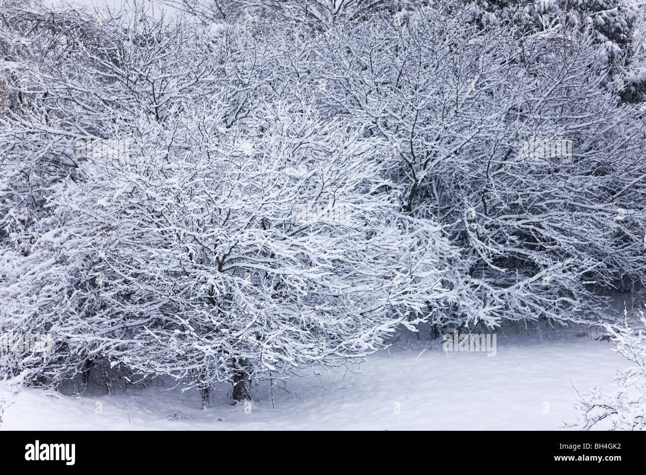 The scene in bradford hi-res stock photography and images - Alamy
