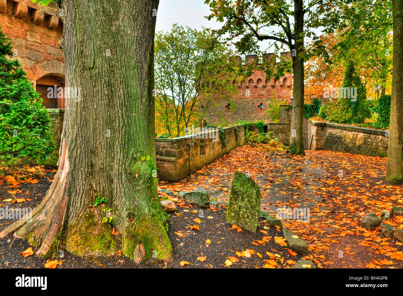 Ortenberg castle hi-res stock photography and images - Alamy