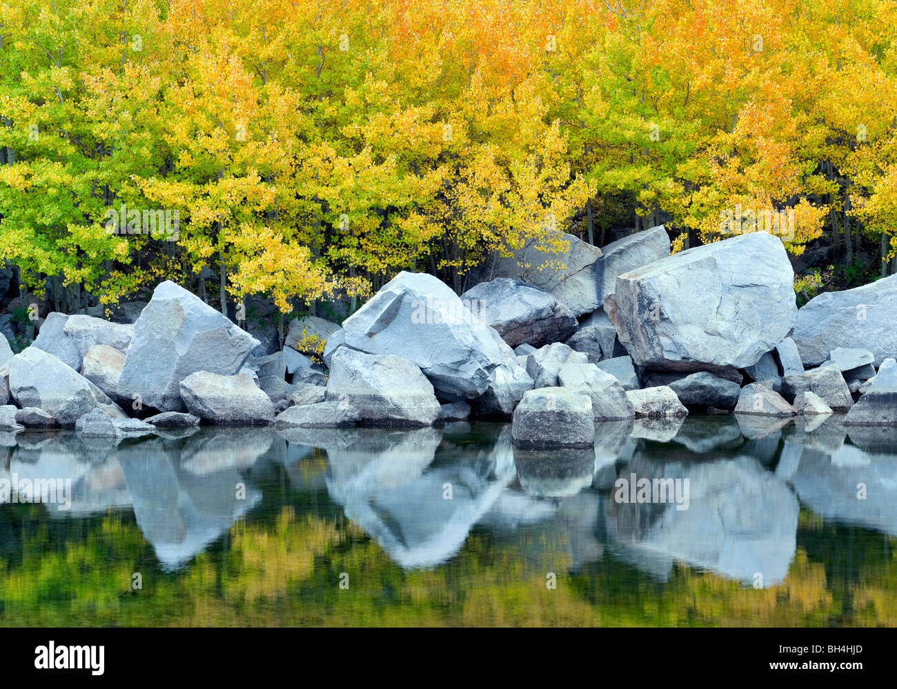 Cardinal Pond with fall colored aspens. Bishop Canyon. California Stock ...