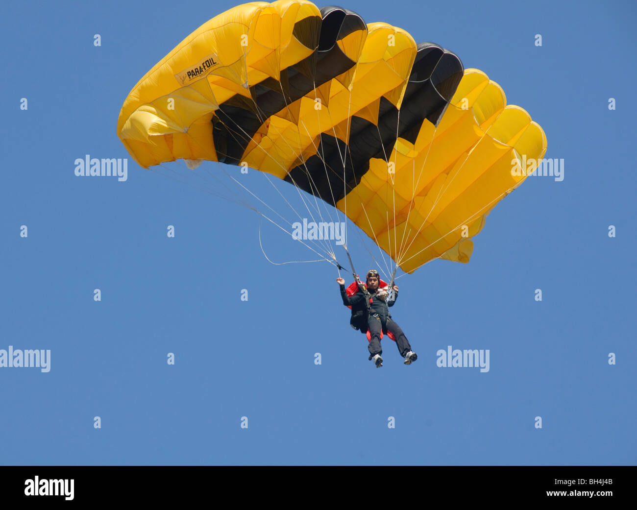 parachutist descending at the Monkey Banquet Festival in Lopburi ...