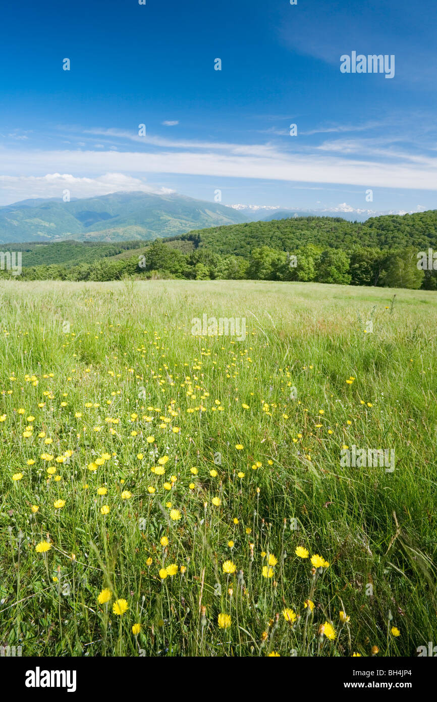 Alpine france hi-res stock photography and images - Alamy