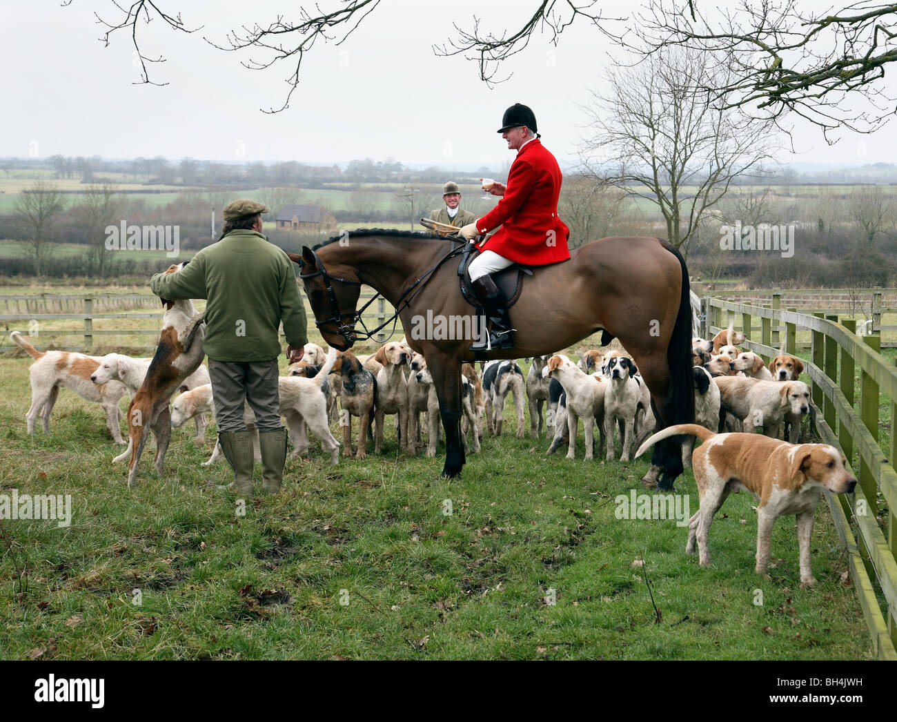 Master of hunt hi-res stock photography and images - Alamy