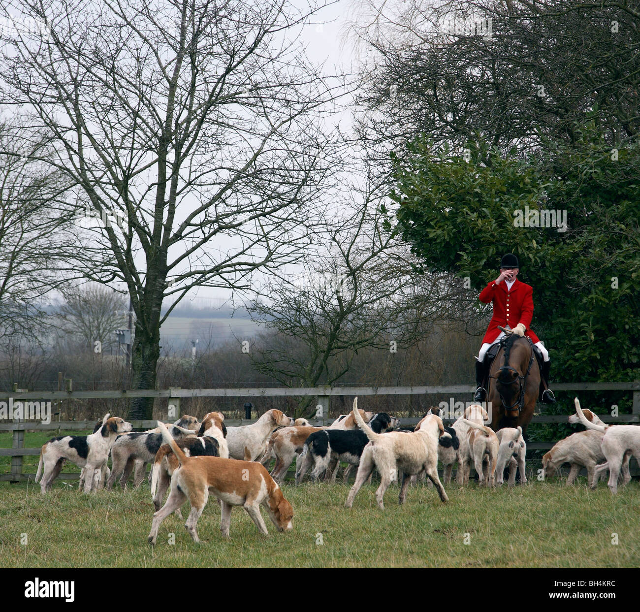 master of hounds dring stirrup cup Stock Photo - Alamy