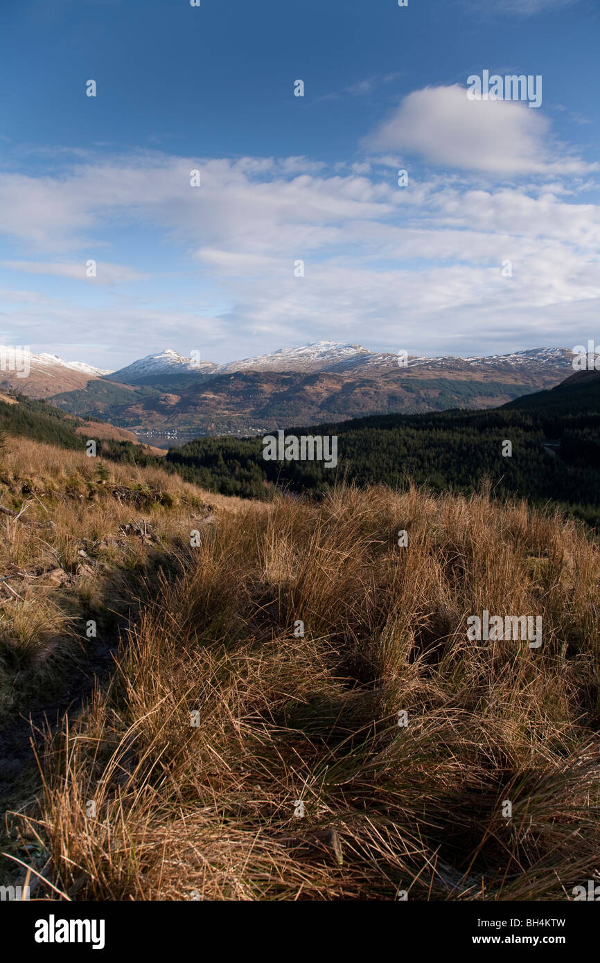 Ben donich hi-res stock photography and images - Alamy