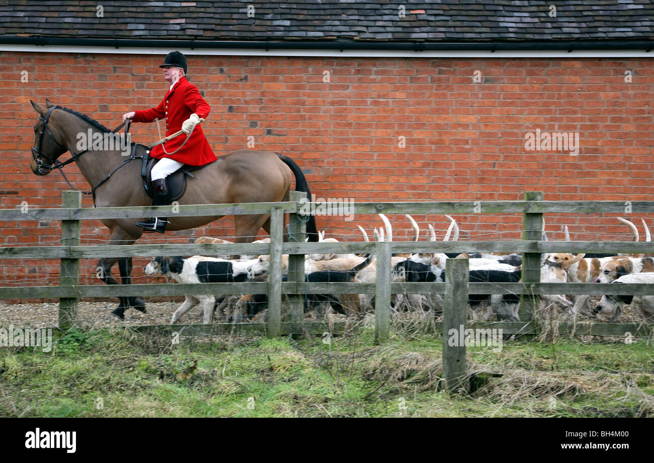 master of the hounds Stock Photo - Alamy