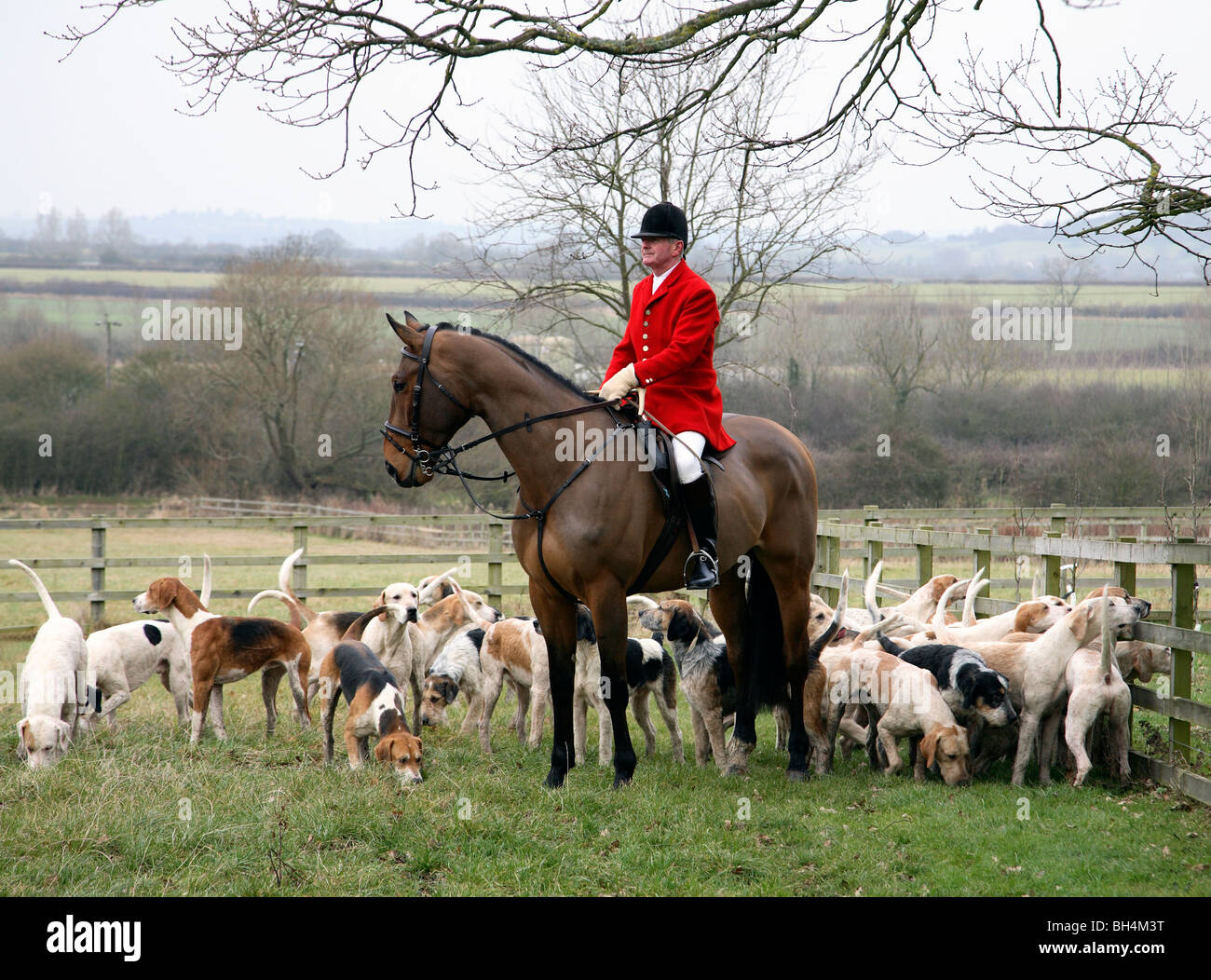 master of the hounds Stock Photo - Alamy