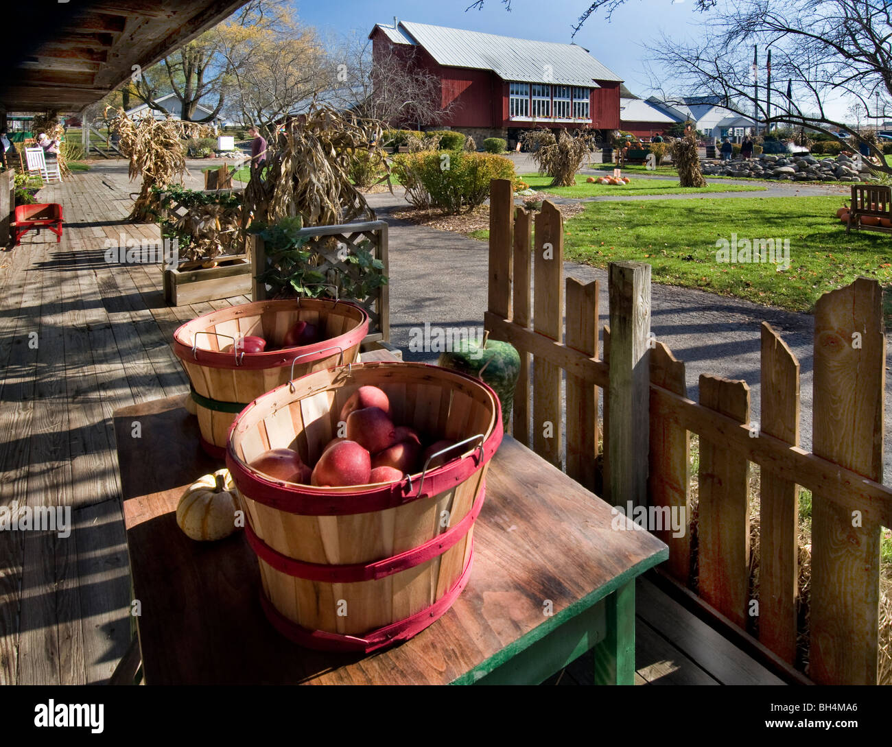 Amish acres historic farm hi-res stock photography and images - Alamy