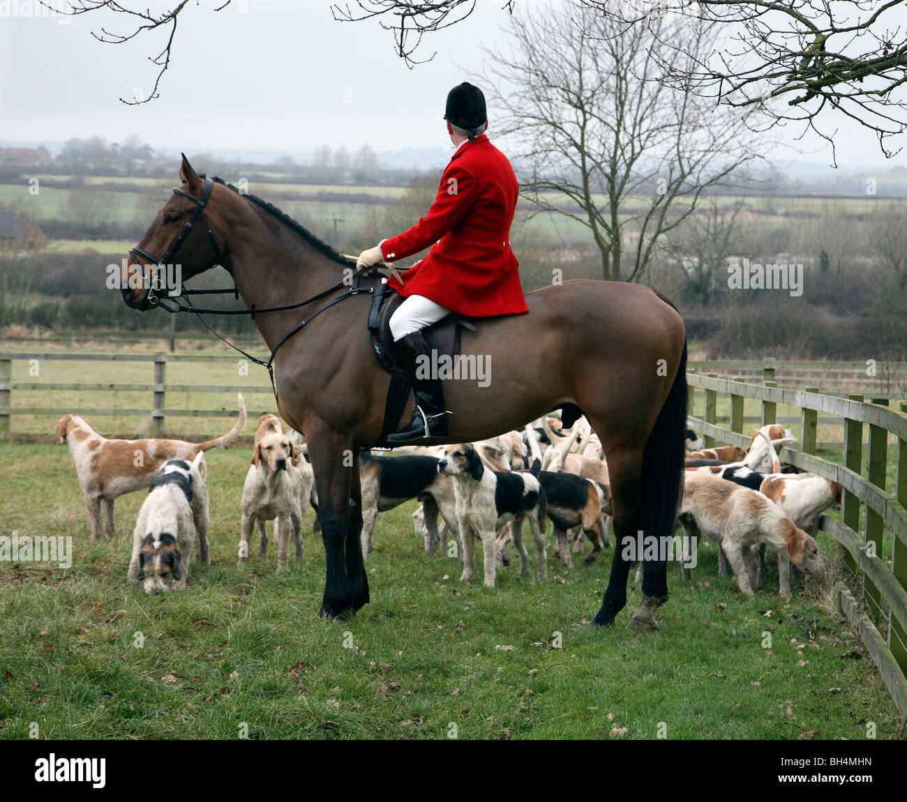 master of the hounds Stock Photo - Alamy