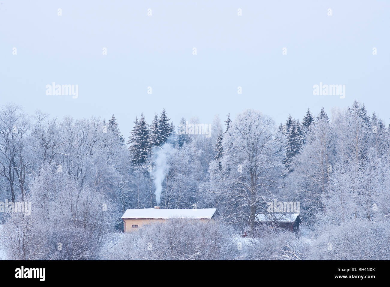 Farmstead in forest Stock Photo - Alamy
