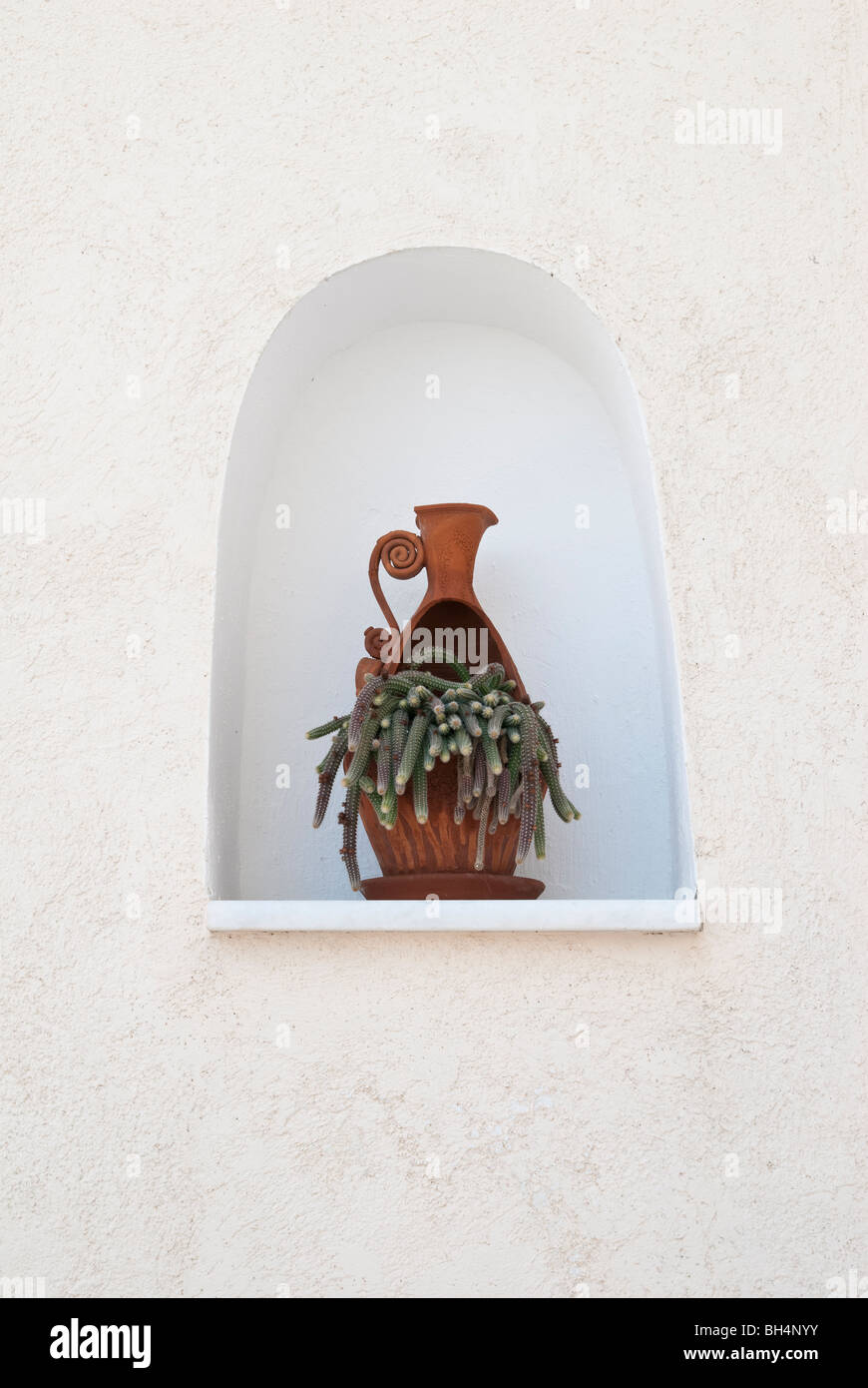 Wall alcove decorated with a succulent plant, Greece Stock Photo - Alamy