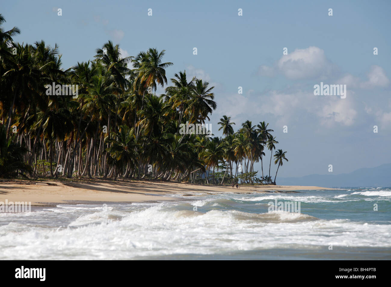 Tropical beach, Coson near Las Terrenas, Dominican Republic Stock Photo ...