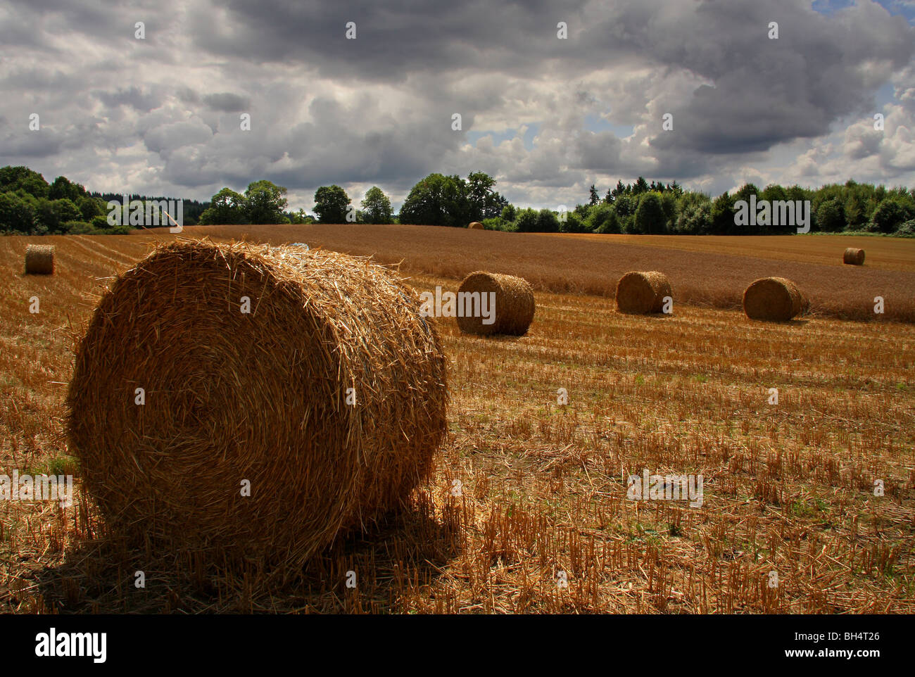 Round straw bales hi-res stock photography and images - Alamy
