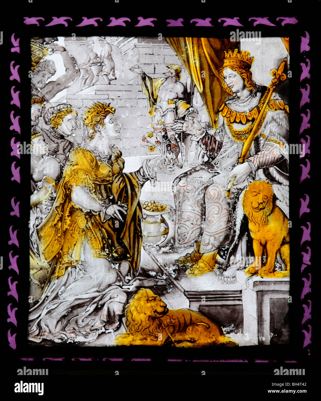 Sheba hi-res stock photography and images - Alamy